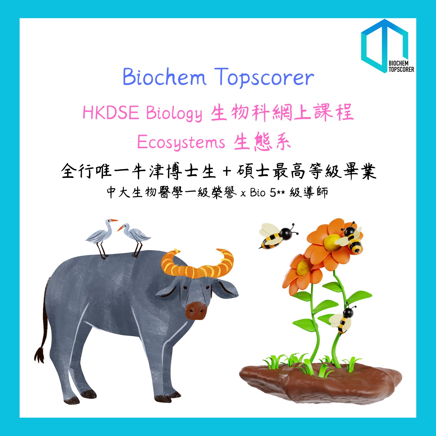 Ecosystems 生態系 | DSE Biochem Topscorer